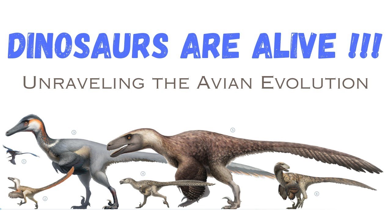 Feathered Dinosaurs: Unraveling the Avian Evolution - YouTube