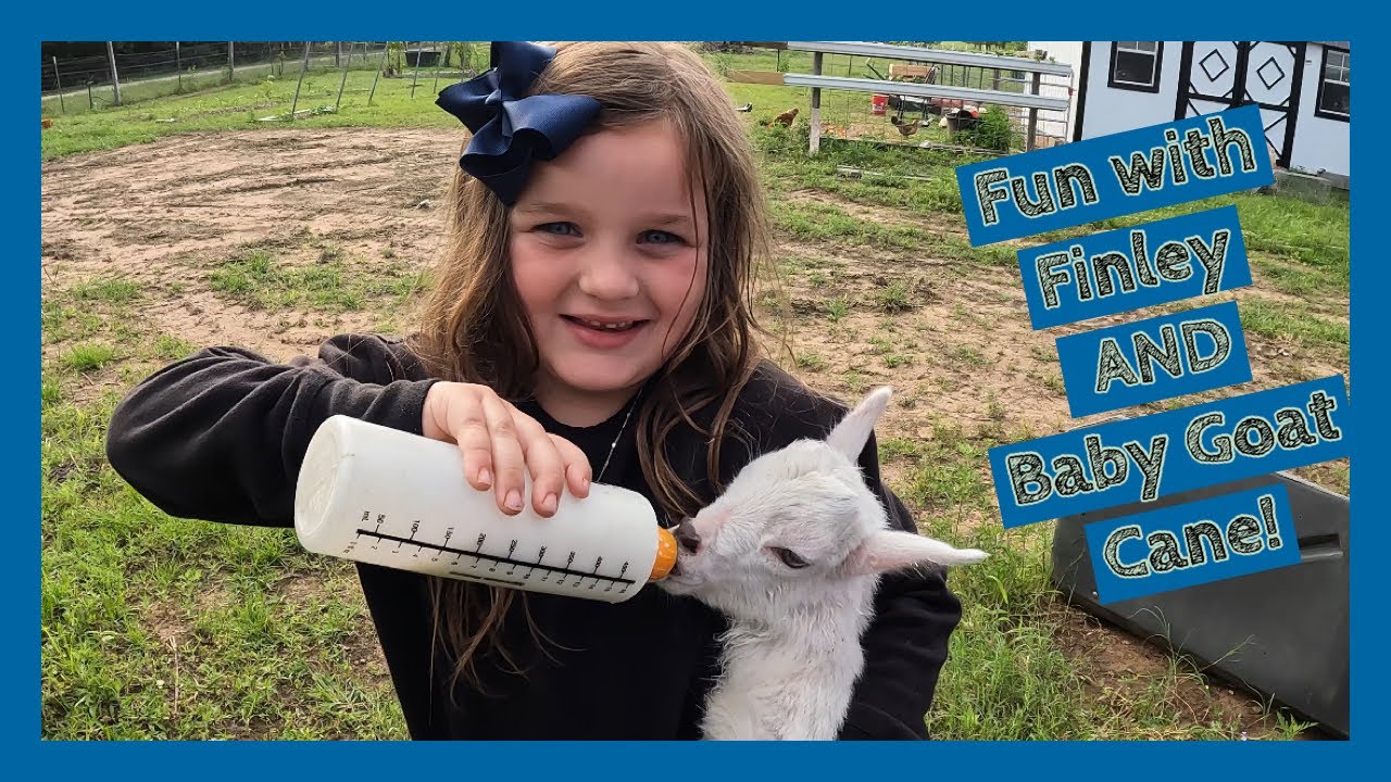 Finley and Baby Goat Cane! Finley bottle feeds a baby goat on her farm ...