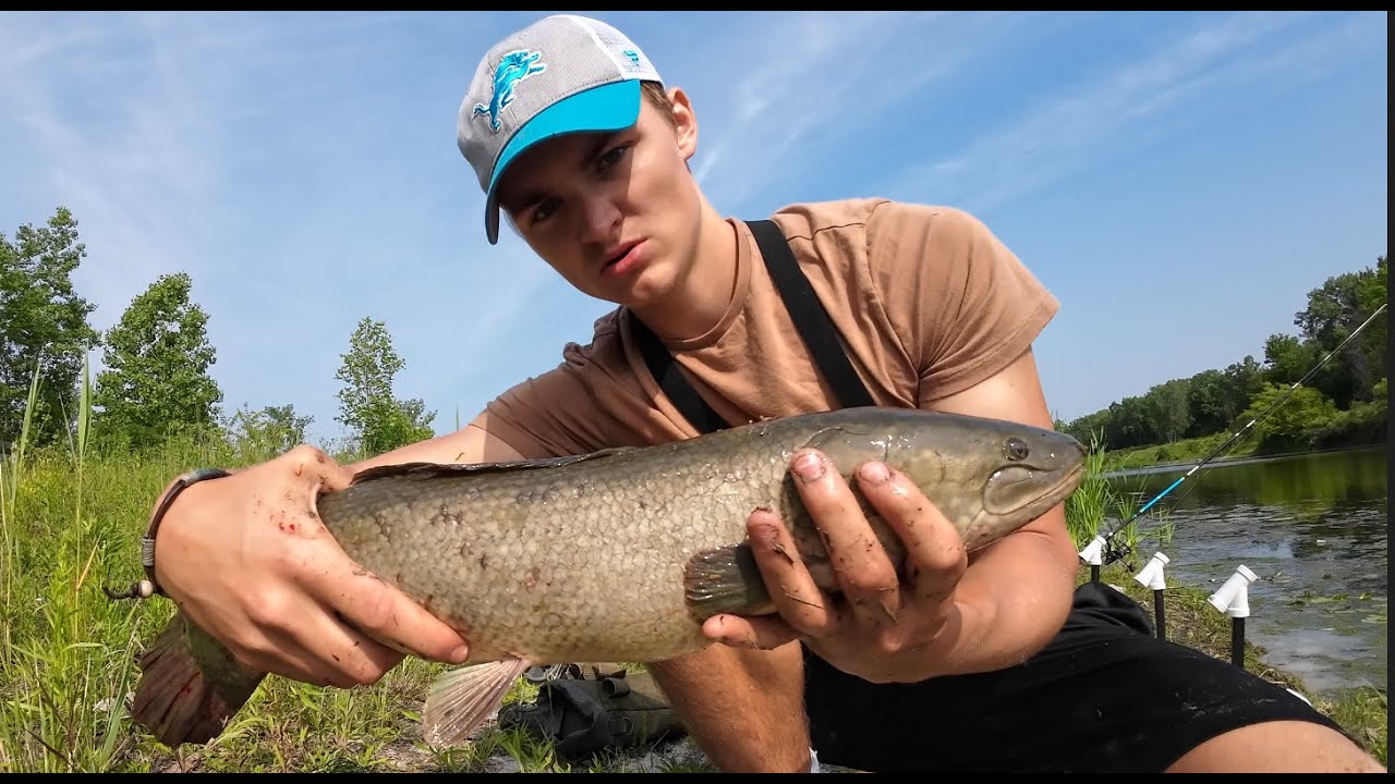 Multispecies River Fishing with Cut Bait and Worms - YouTube