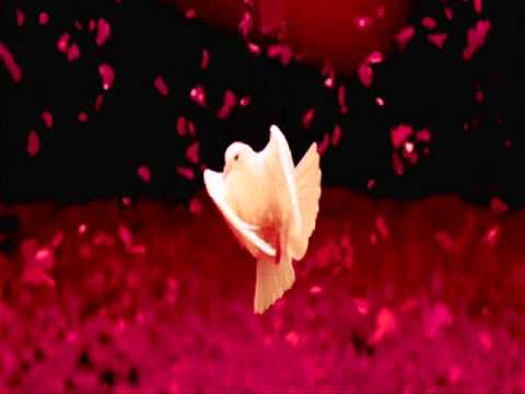 FU@T Ç@KIR 'S' VİDEO'LARI