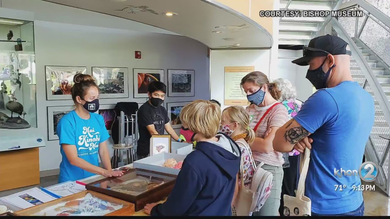 Bishop Museum hosts Science, Sustainability Festival - YouTube