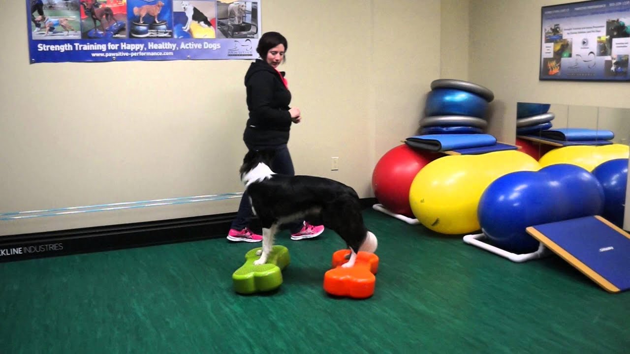 Multi-Directional Weight Shifting - off handler movement - YouTube