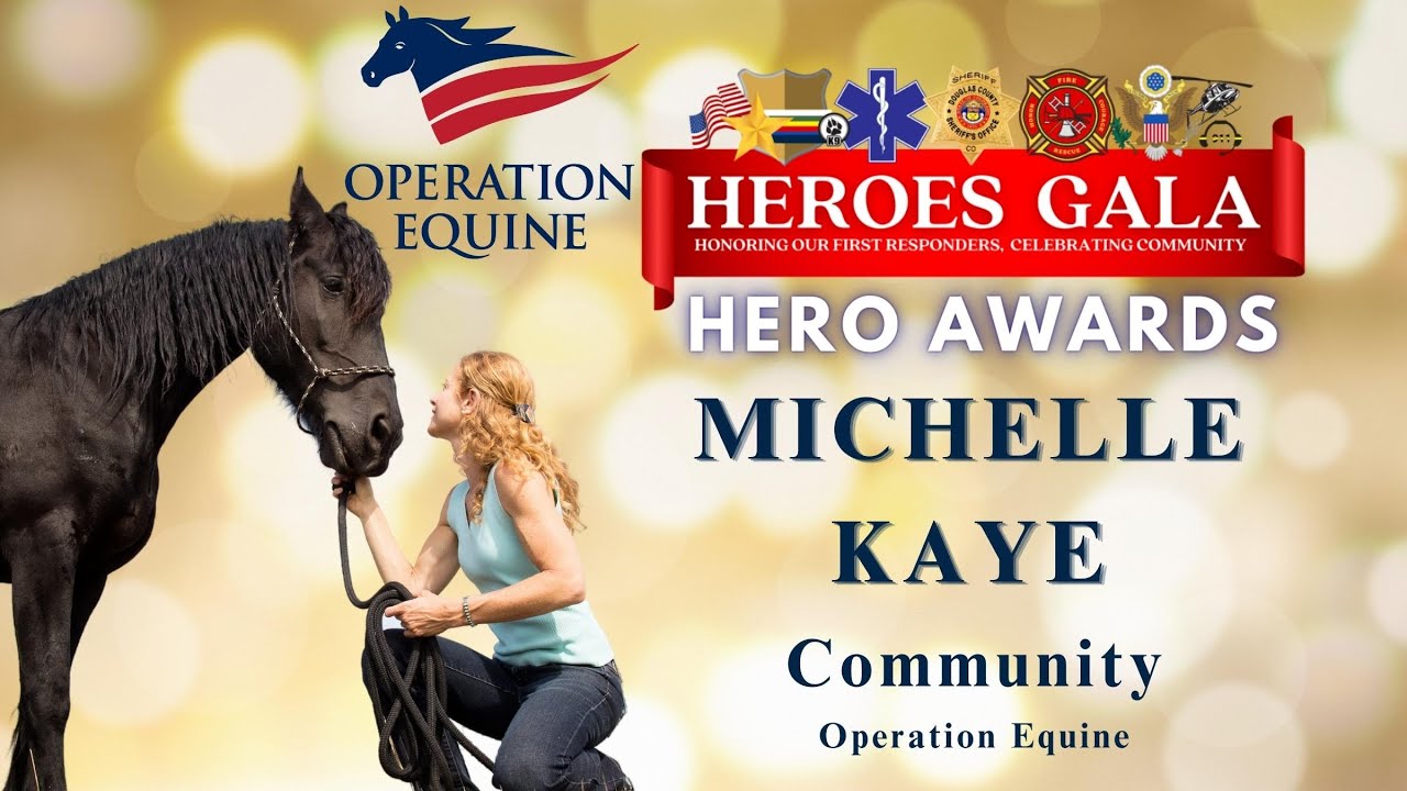 2023 Hero Awards Winner -COMMUNITY, Michelle Kaye & Operation Equine ...