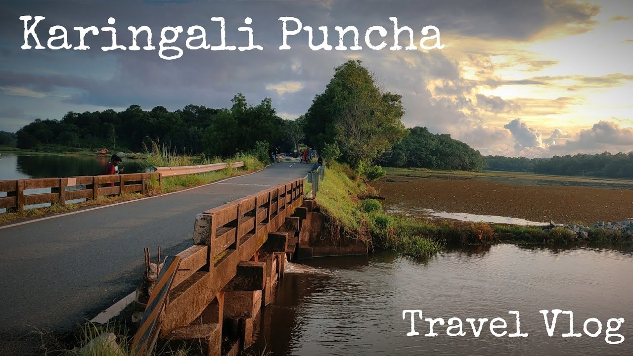Karingali Puncha - Evening Vibe , Nooranad, Padanilam, Alappuzha ...