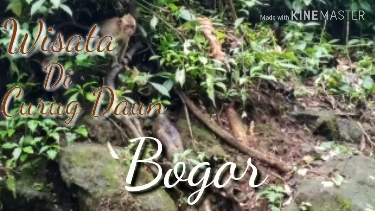Wisata di Curug Daun-Bogor - YouTube
