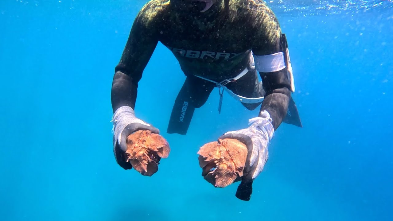 KARAVIDA #LOBSTER ZIPKINLA BALIK AVI - YouTube