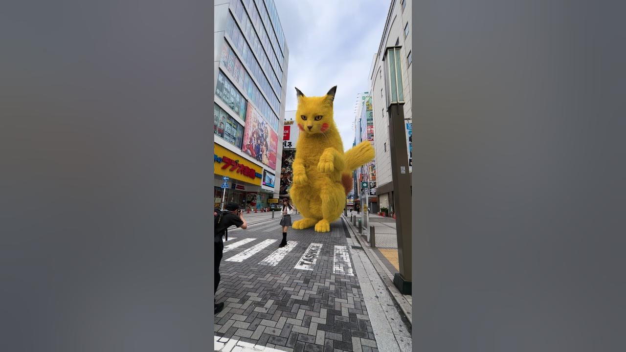 Question: Does Catachu need to be fed or charged? 🤔 #mixedreality #cgi ...