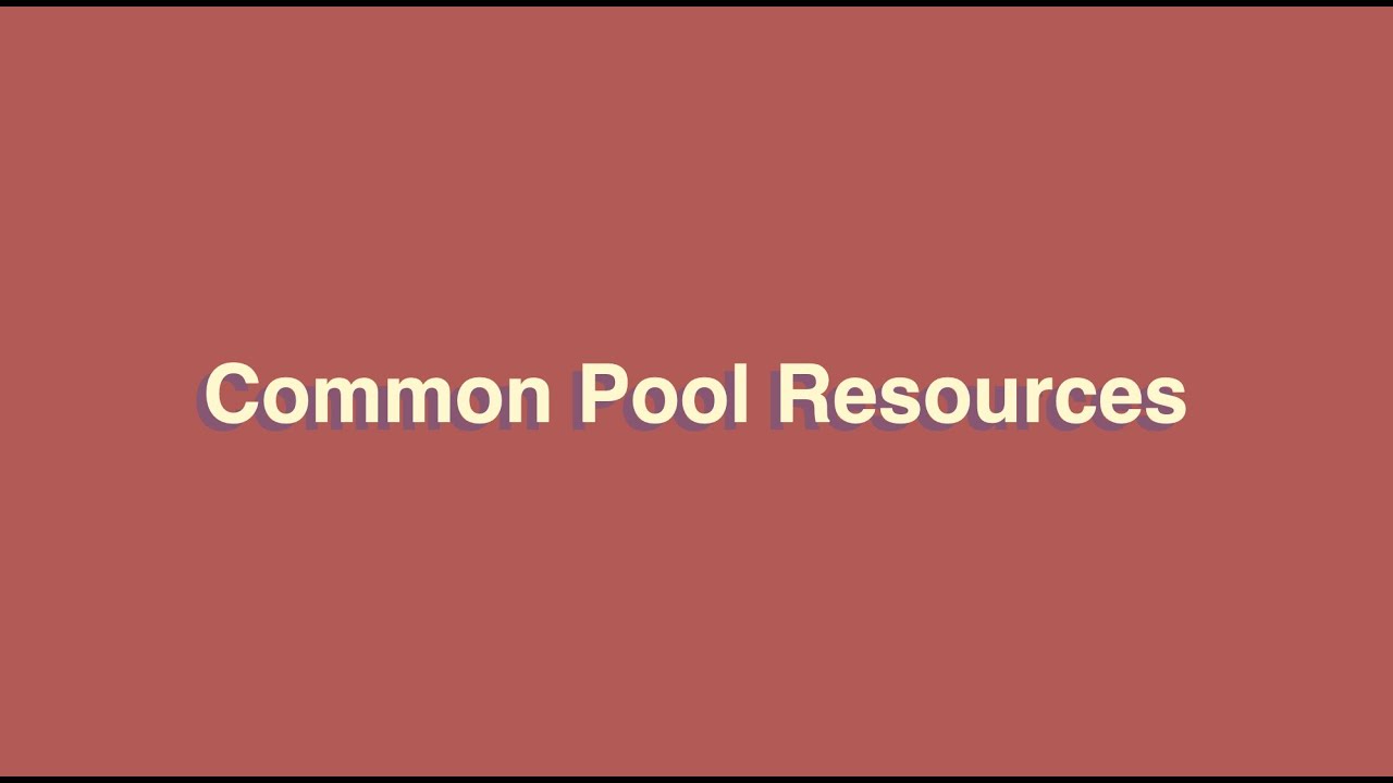 Microeconomics || Common Pool Resources - YouTube