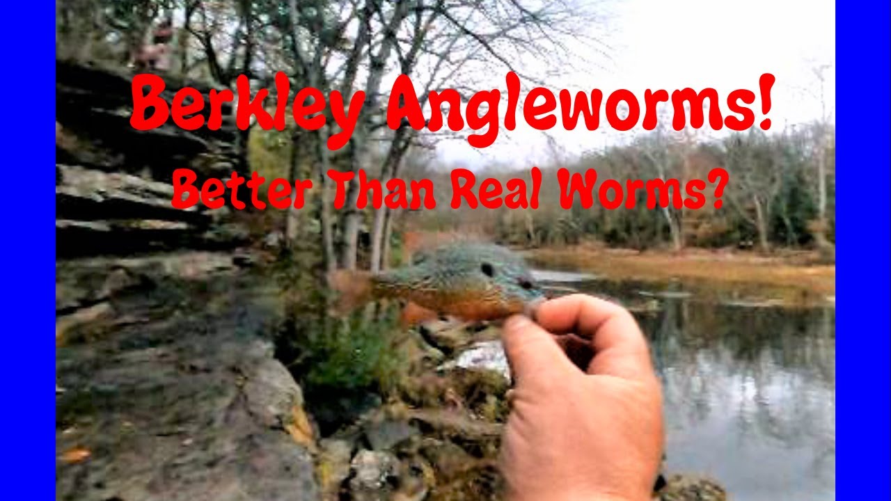 Berkley Angleworms An Excellent Panfish Bait - YouTube