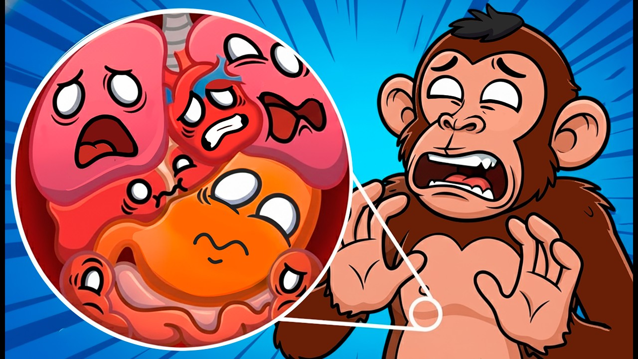 Are your organs different from a MONKEY's? - YouTube