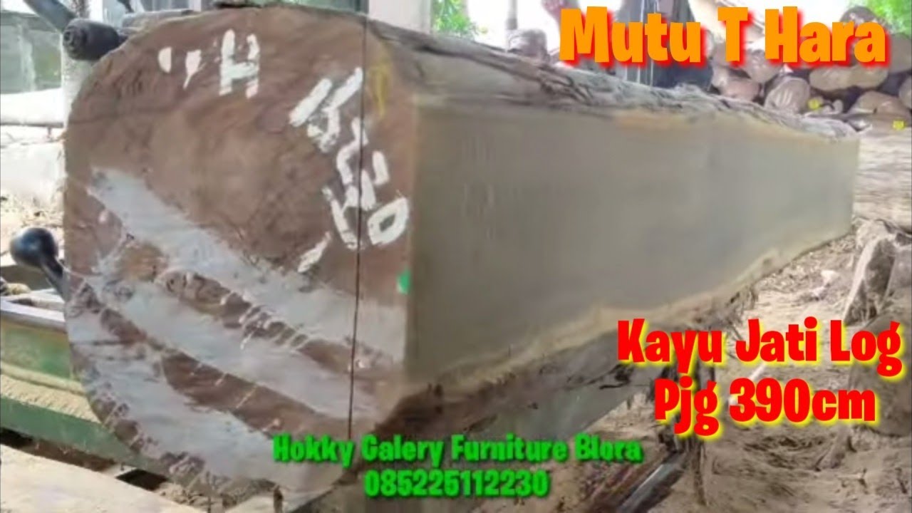 Papan Pesanan Khusus‼️log Jati Hara Dm44 P390😁sawmill Kayu Jati