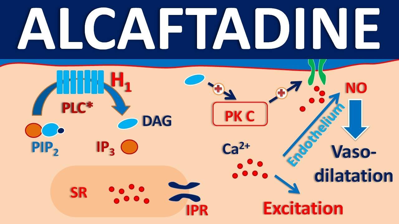 Alcaftadine - Mechanism, side effects, precautions & uses - YouTube