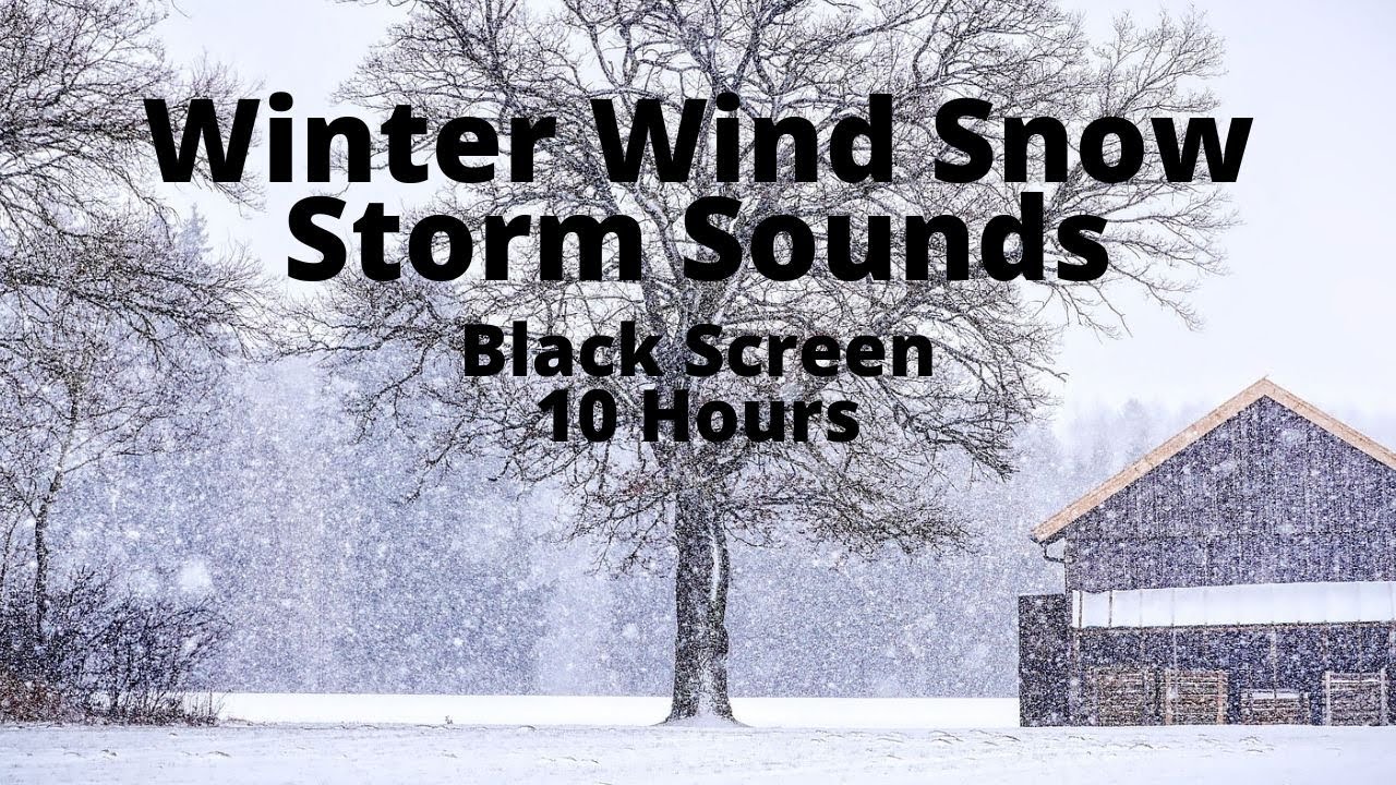 Winter Wind Snow Storm Sounds_001 Black Screen 10 Hour - YouTube