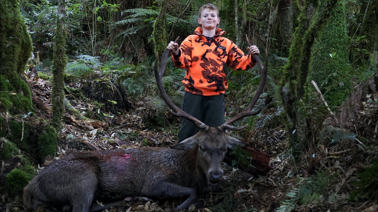 Monster Red Stag, up close bush hunting - YouTube