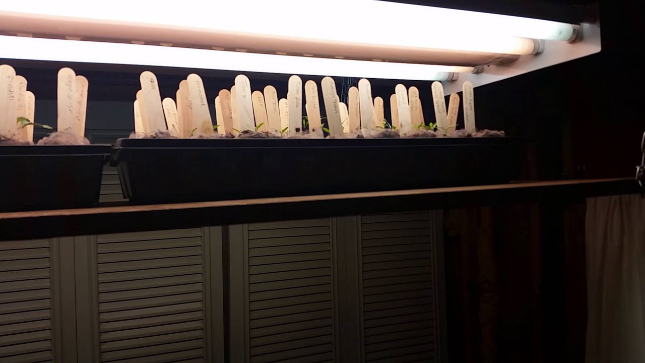 Redneck lighting system - YouTube