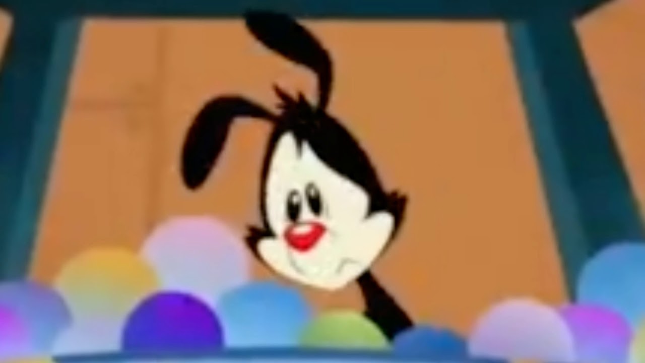 wakko screaming but yakko gets annoyed - YouTube