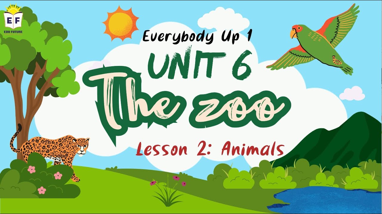 Everybody Up 1 - UNIT 6: THE ZOO (Lesson 2: Animals) - YouTube
