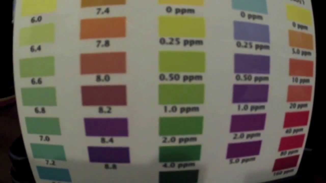 How to do a Fishless Cycle with Ammonia, How Much etc. - YouTube