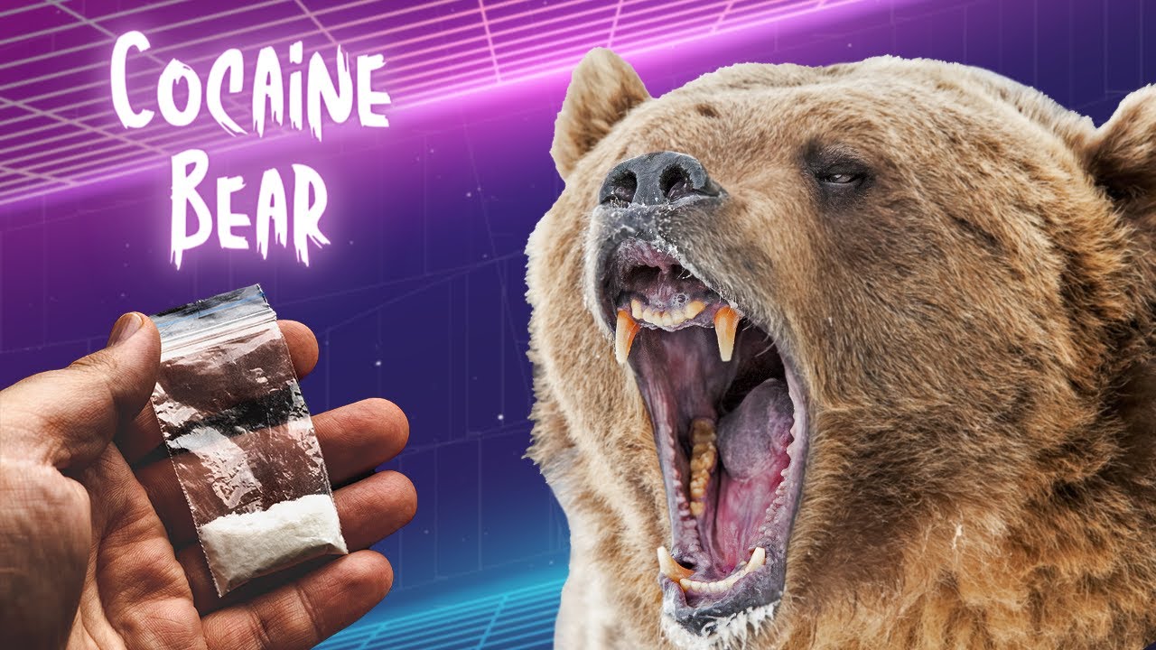 Who is More Deadly, Cocaine Bear or Humans? Bear Expert Shares the ...