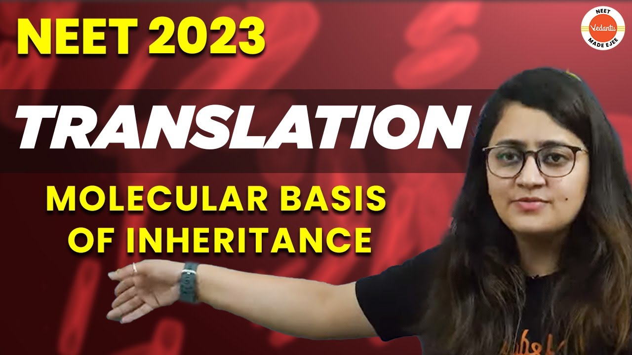Molecular Basis of Inheritance Class 12 - L3 | Translation | NEET 2023 ...