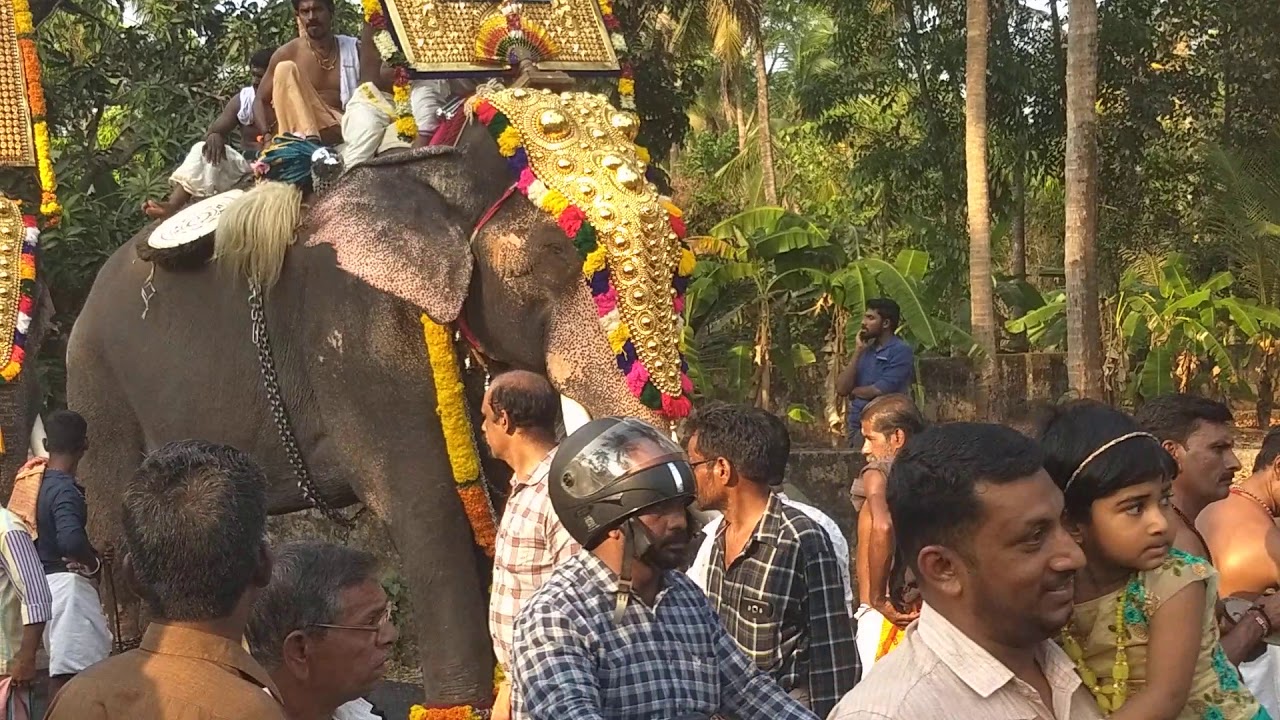 Pooram 2020 - YouTube