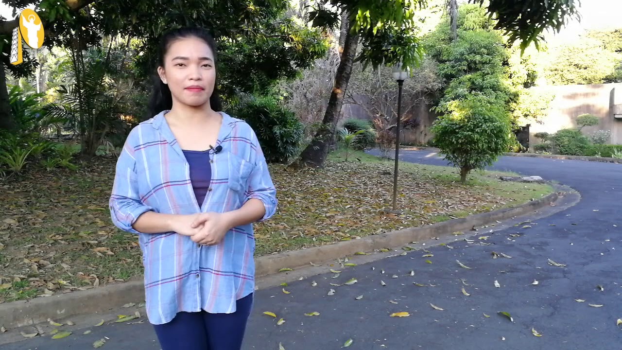 Turo ng SImbahan (Maria Ina ni Hesus) - YouTube