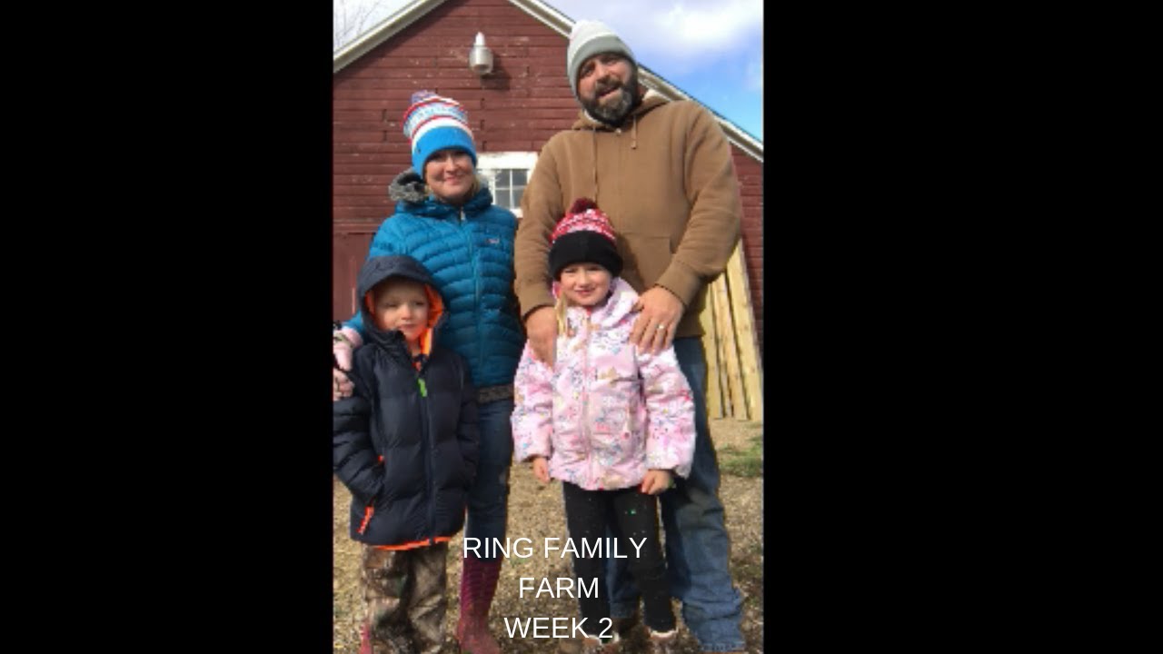 RING FAMILY FARM | Week 2 | Christmas Tree Farm | Farm Fresh Eggs | Run ...