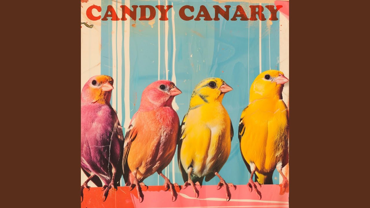 Candy Canary - YouTube