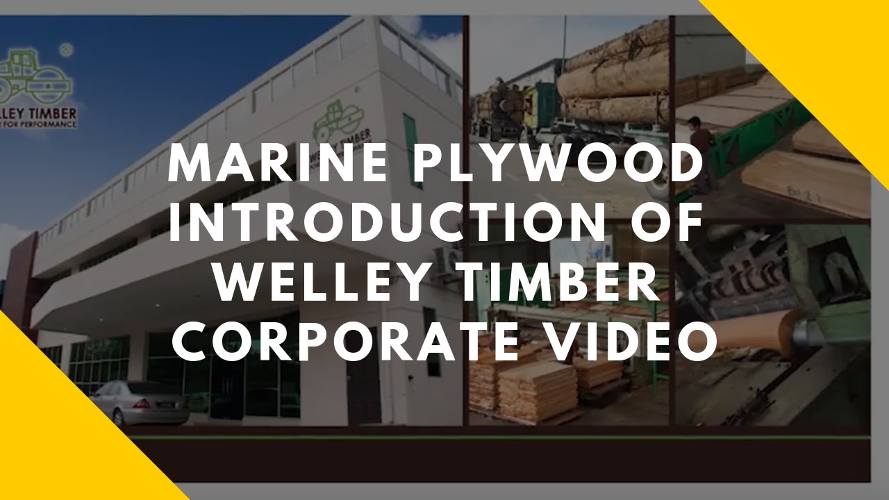 Marine Plywood Introduction of Welley Timber Corporate Video - YouTube