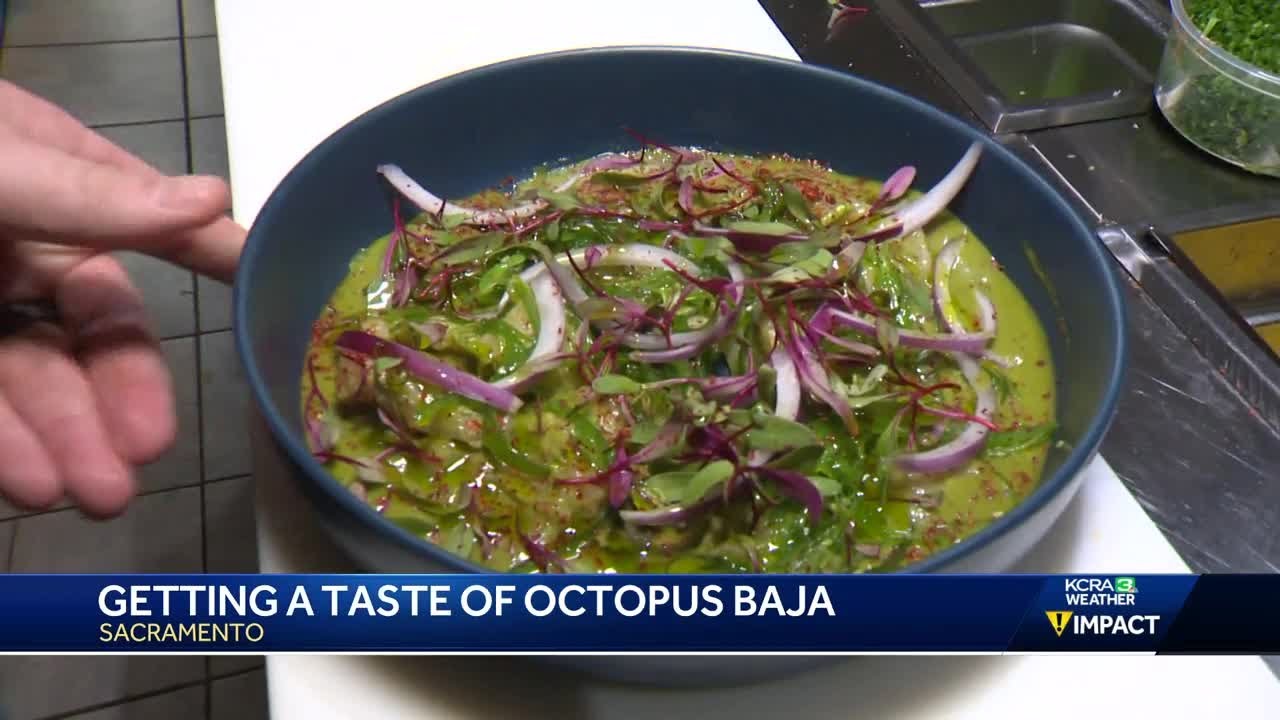Farm-to-Fork Friday: How to make aguachile with Octopus Baja - YouTube