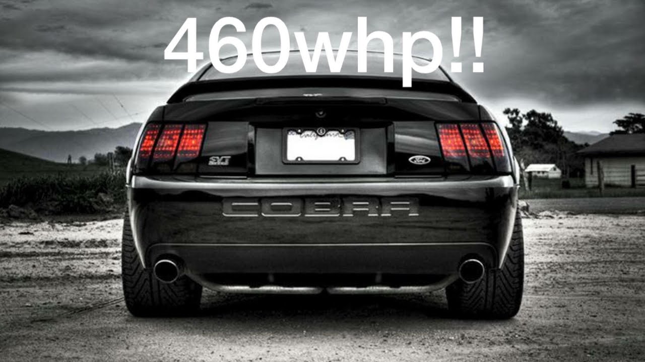 Terminator Cobra 4.6L Supercharged 460whp vs Big Red 372whp - YouTube
