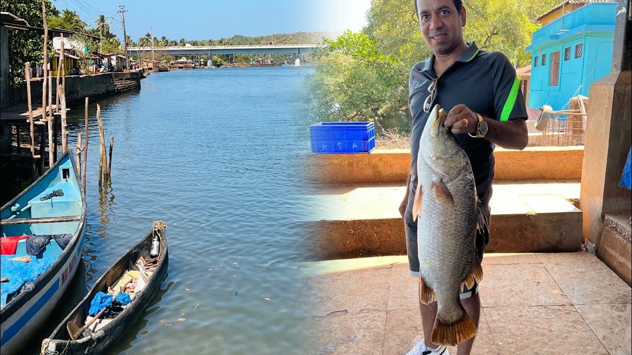 Fresh Fish Market at Siolim Goa | Fishing in Goa - YouTube