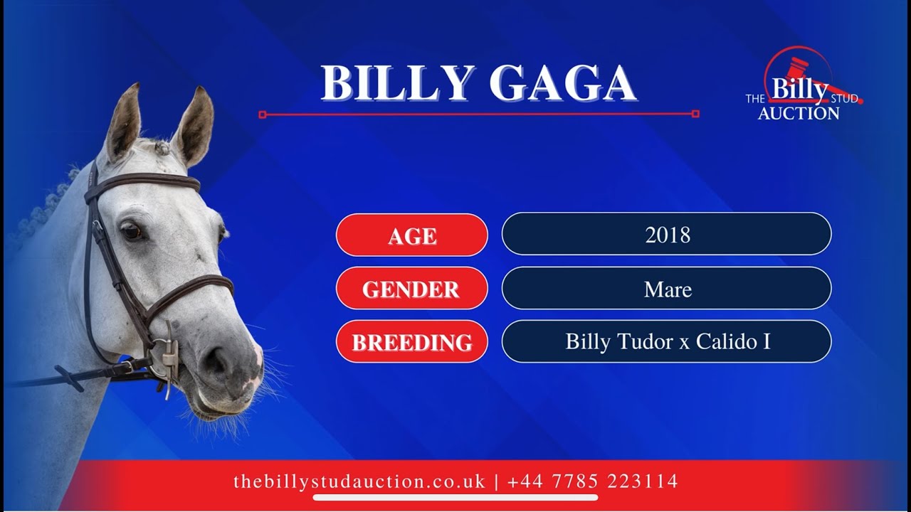 Billy Ga Ga Flatwork - YouTube