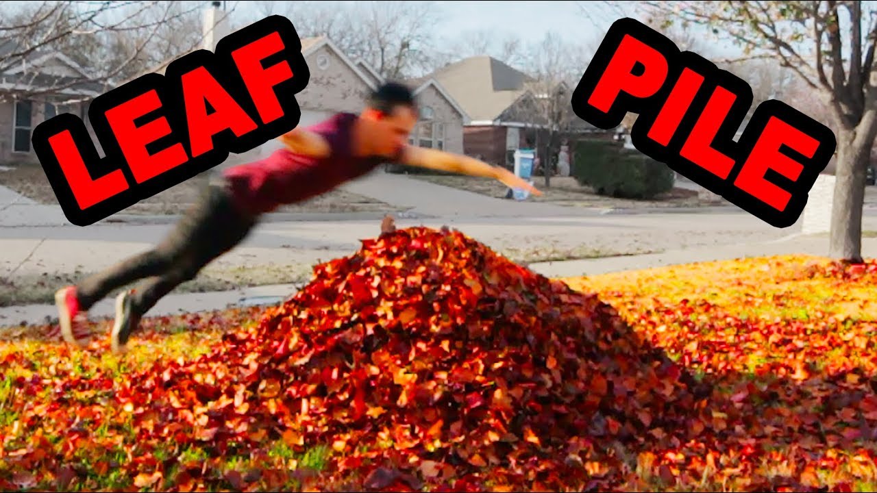 Leaf Pile CHALLENGE (gone wrong) - YouTube