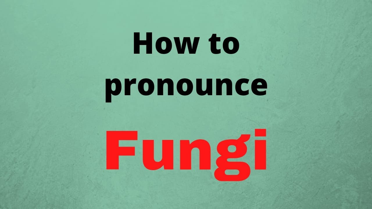 FUNGI PRONUNCIATION | HOW TO PRONOUNCE FUNGI CORRECTLY - YouTube