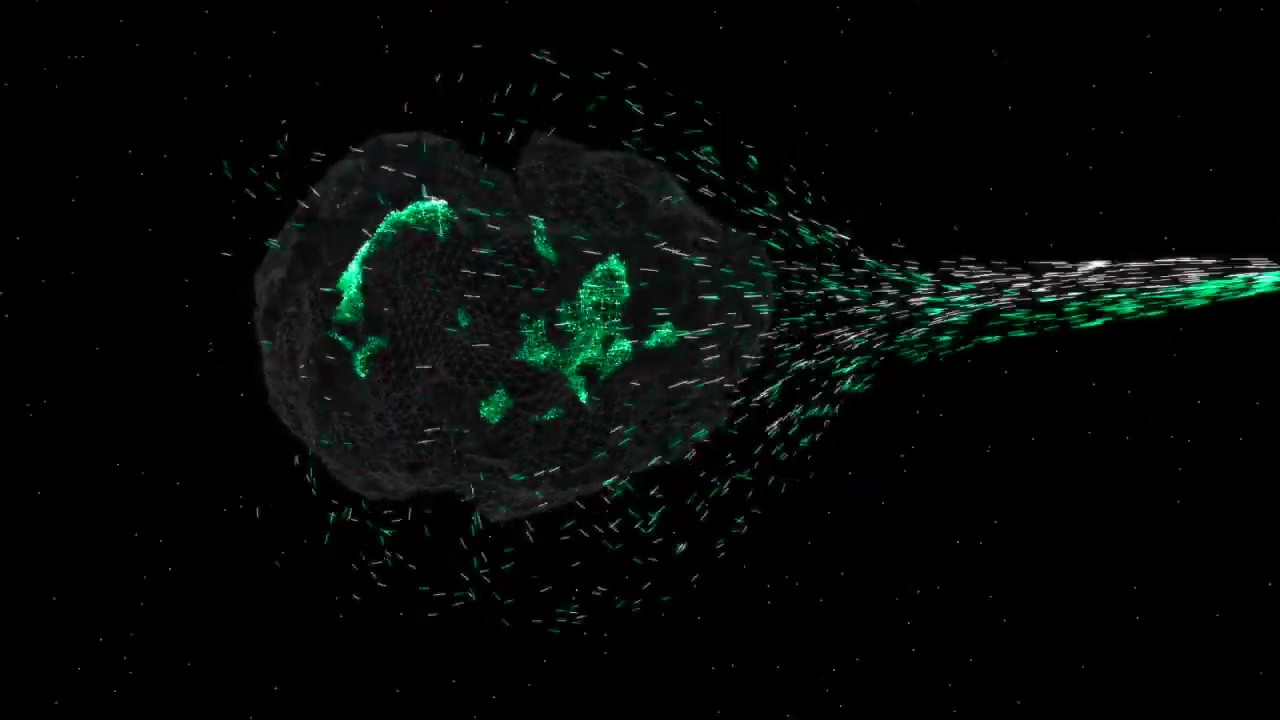 the jawbreakers virtual paradox OFFICIAL VIDEO - YouTube