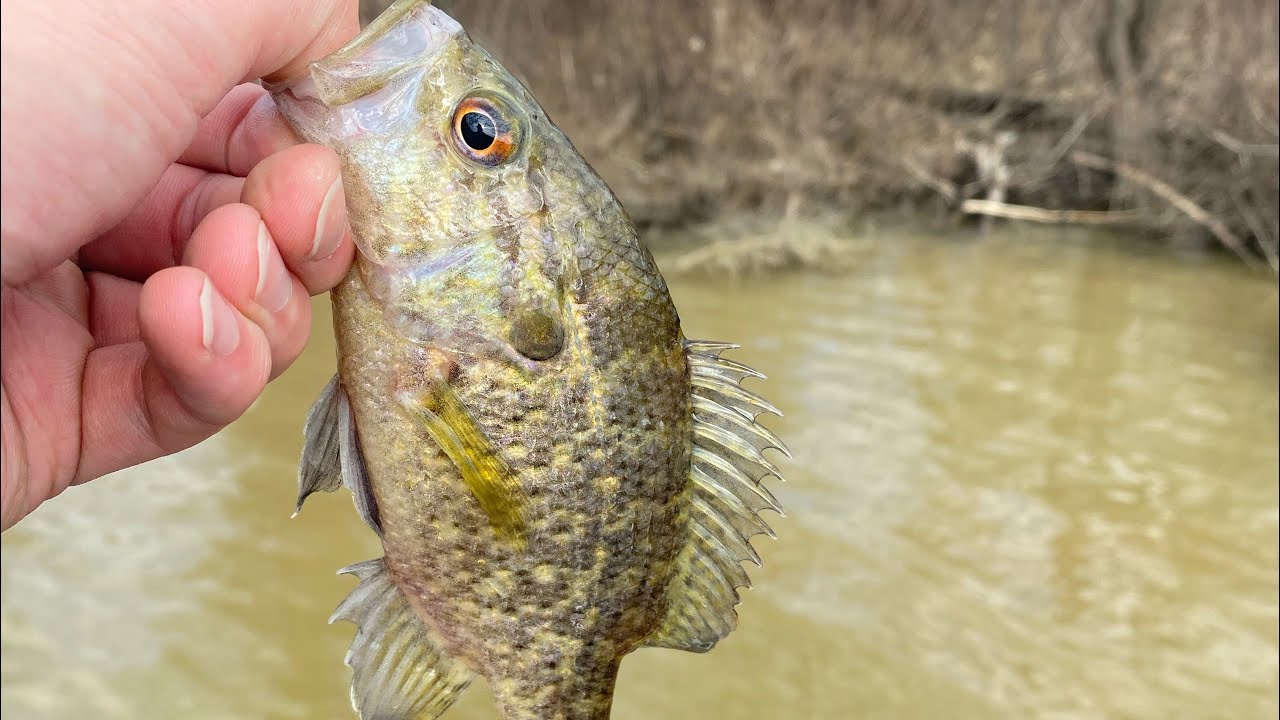 It Has Been A Struggle Fishing This Winter - YouTube