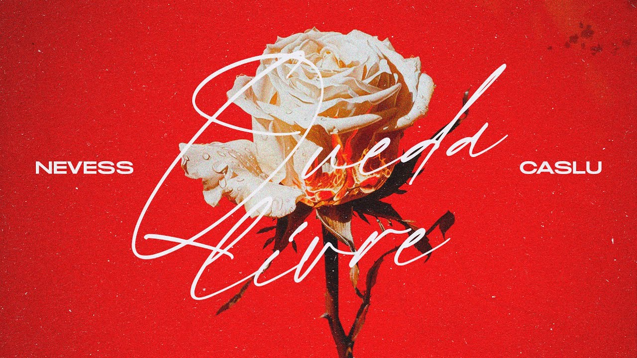 Nevess, Caslu - Queda Livre (Visualizer Oficial) - YouTube