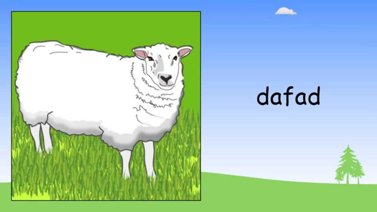 Farm animals in Welsh | Welsh Beginner Lessons for Children - YouTube