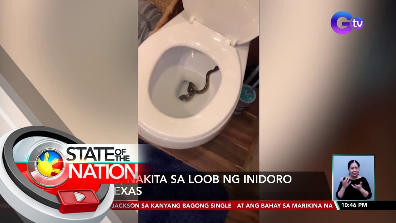 Ahas, nakita sa loob ng inidoro sa Texas - YouTube