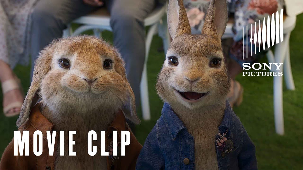 Peter Rabbit 2 - Distraction Clip - At Cinemas Now - YouTube