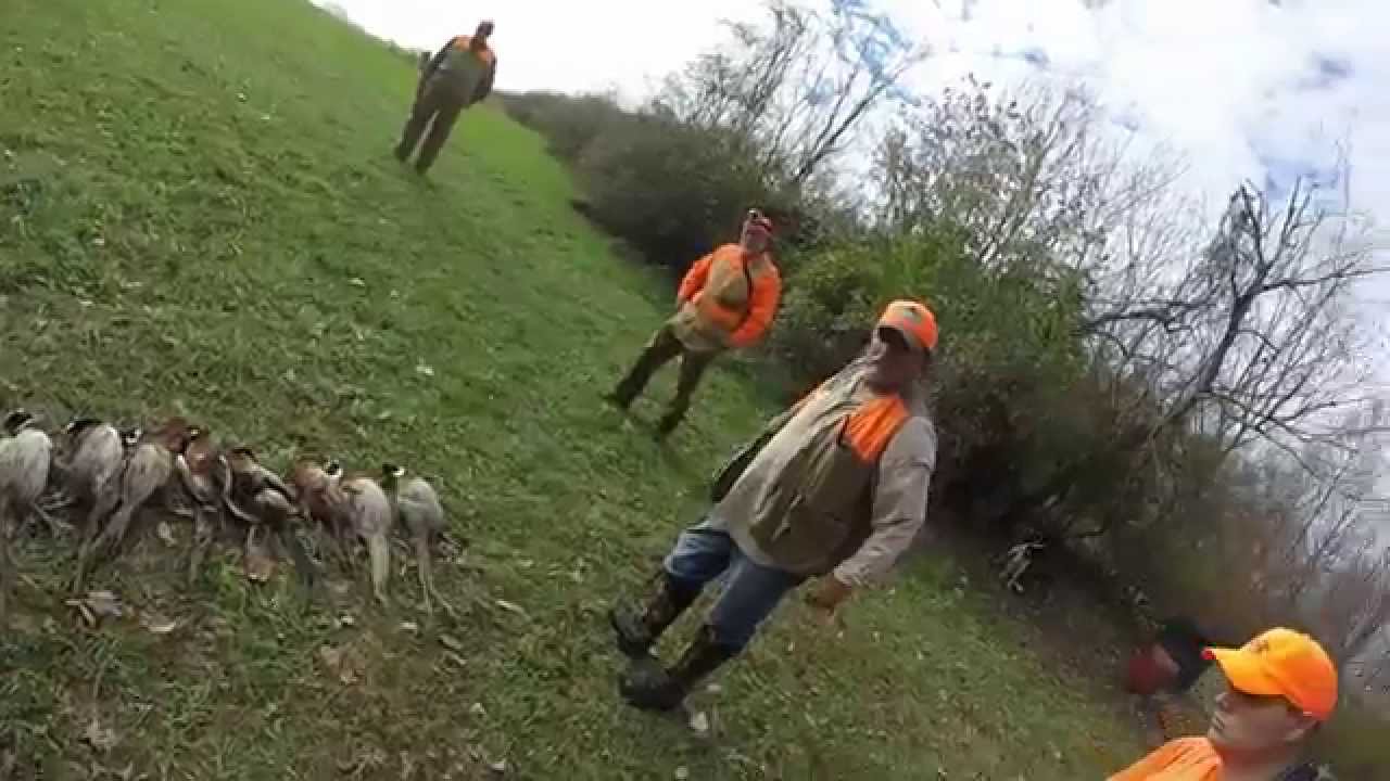 Hunting Hills Pheasant Hunt (Part 1) - YouTube
