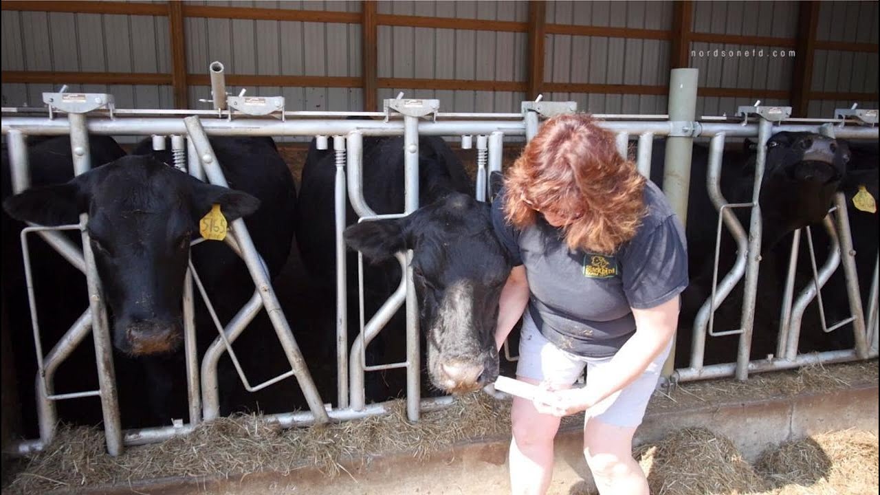 Animal Health Drug Packaging Systems Overview - YouTube