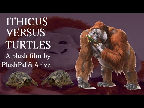 ITHICUS VERSUS TURTLES - YouTube