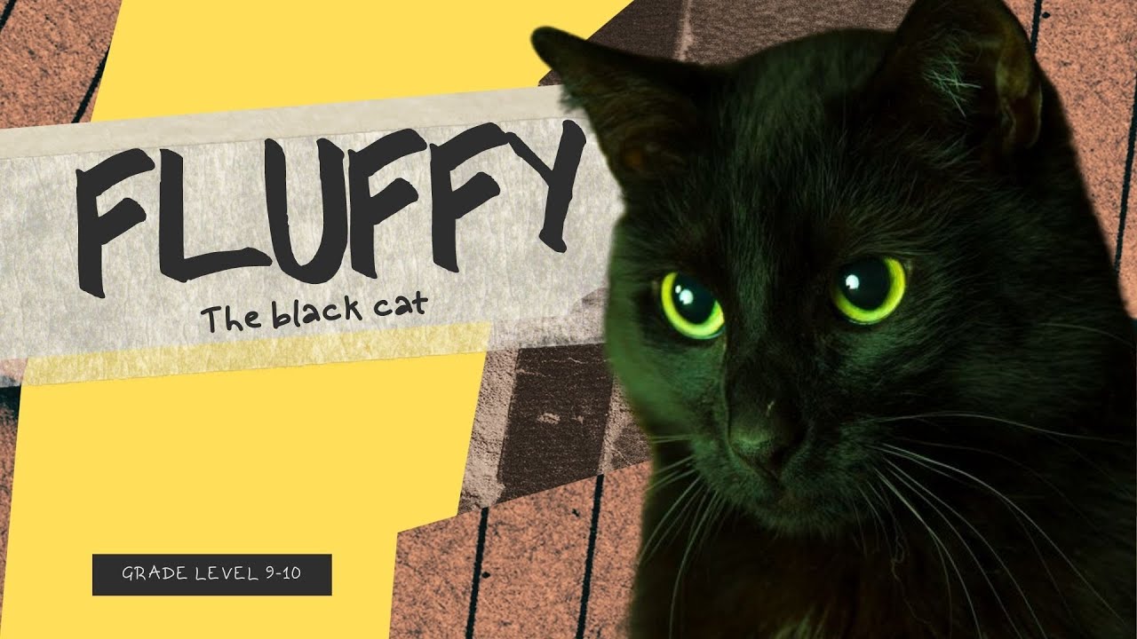 Descriptive Text - Fluffy the Black Cat - YouTube