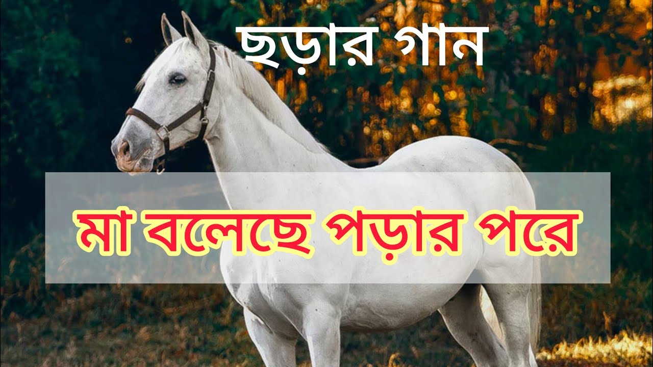 Maa boleche porar pore song #song #new song #like #subscribe #youtube ...