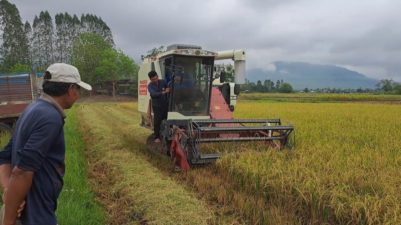 FM WORLD 115 PRO🕹🌾 มือใหม่หัดขับ🕹 เสี่ยเหงาแปดสูบ ☢️☢️ มาดูว่ามือจะนิ่ง ...