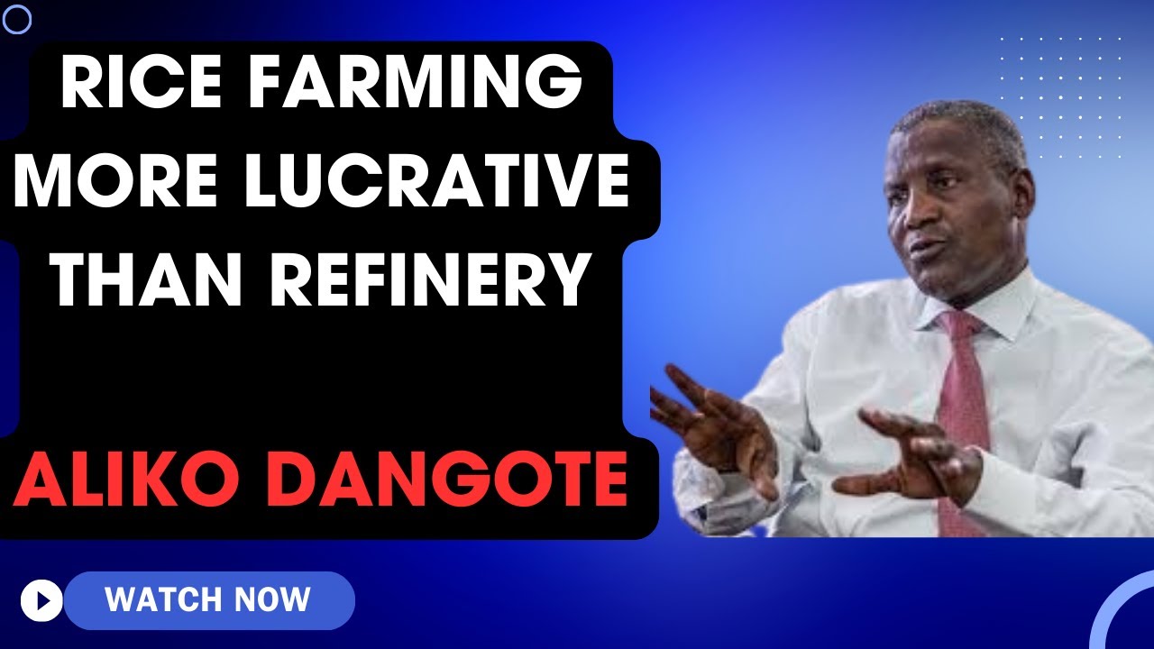 Dangote reveals why Rice farming is more lucrative than oil refinery ...
