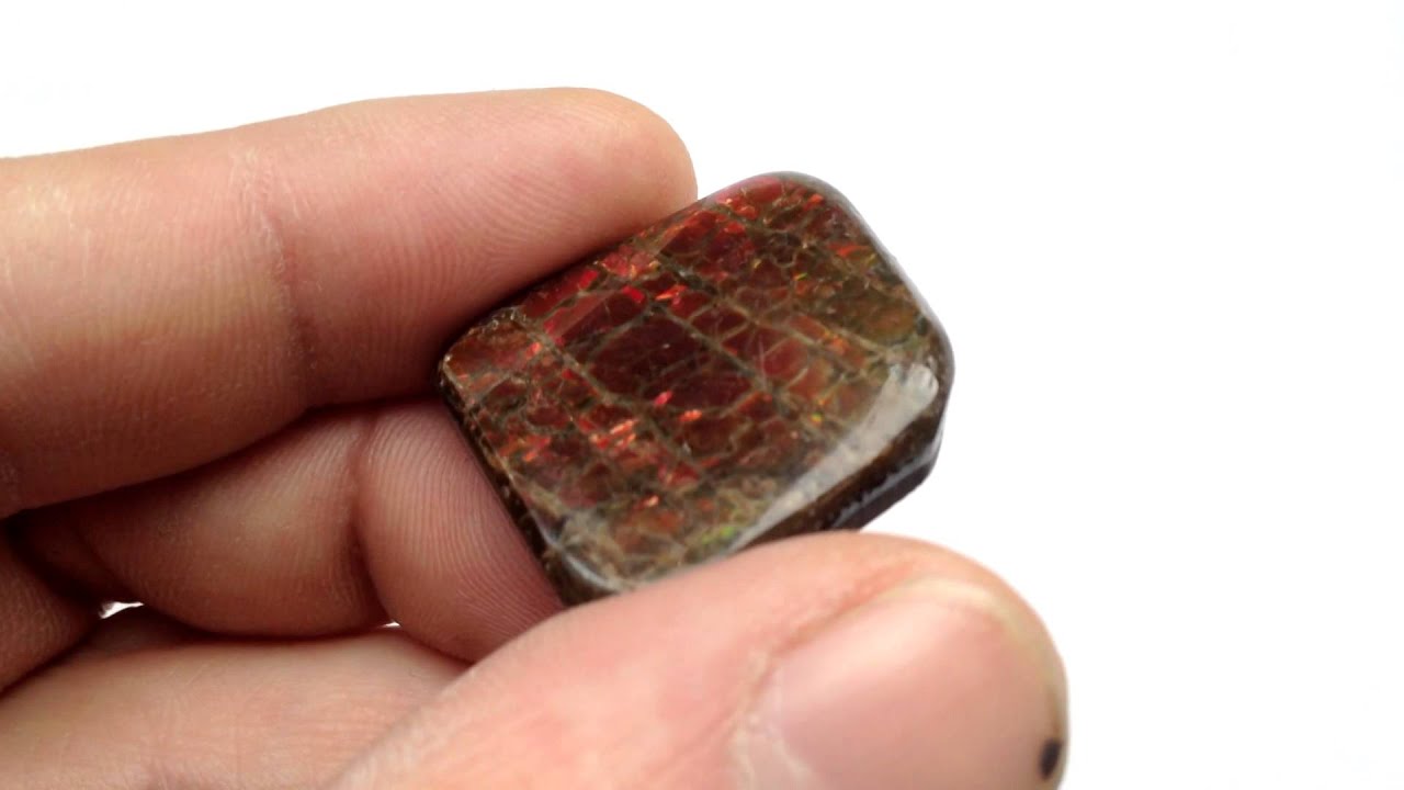 Ammolite Cabochon CAAM125 - HerkHounds.com - YouTube