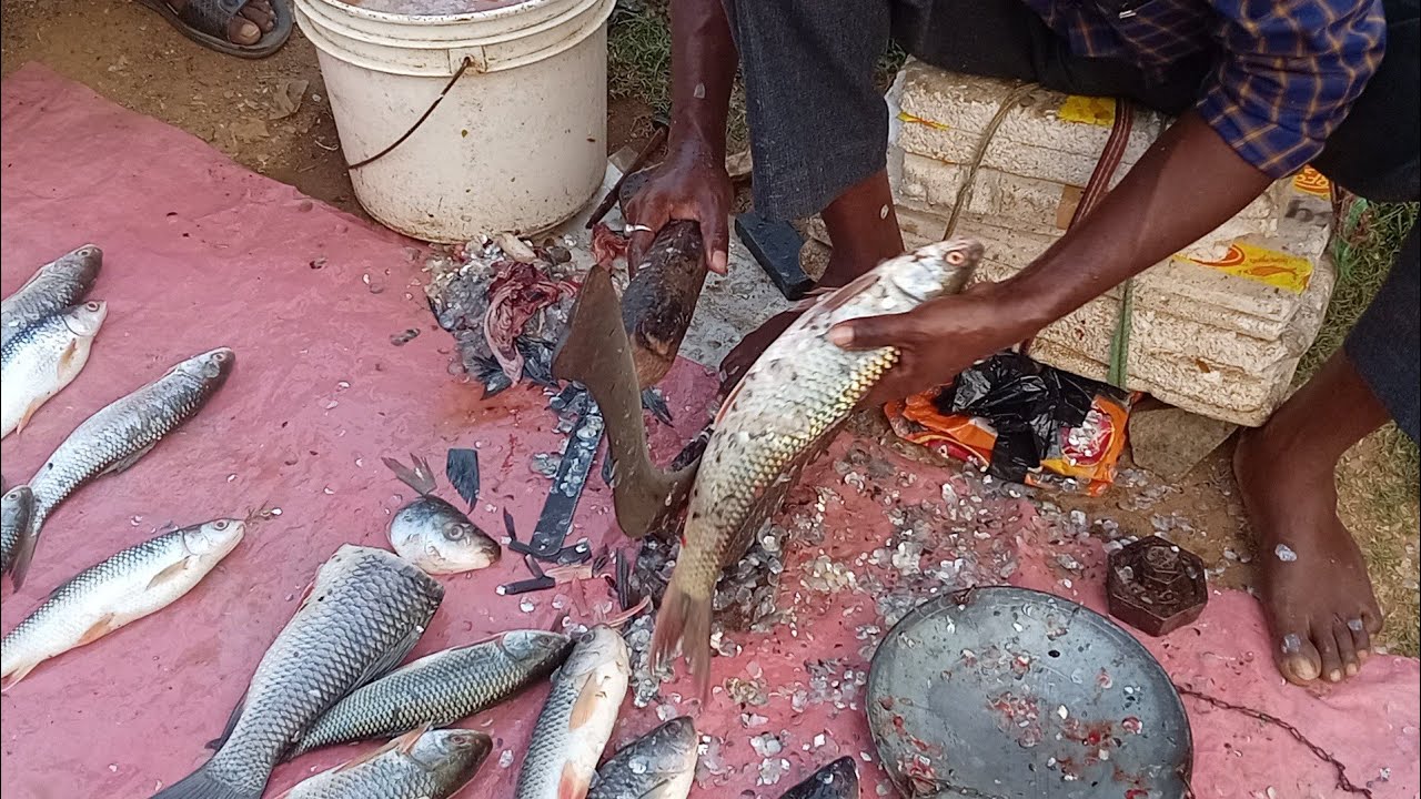 fish Cutting Skill !! Super Fish cutting !! Sahadeb Fish Duniya ...